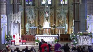 iTech Media | Live Streaming Platform