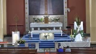 iTech Media | Live Streaming Platform