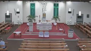 iTech Media | Live Streaming Platform